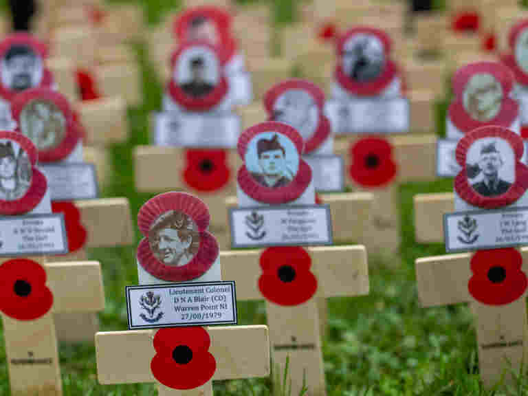 Her Majesty The Queen opens the 2025 Field of Remembrance | Westminster ...