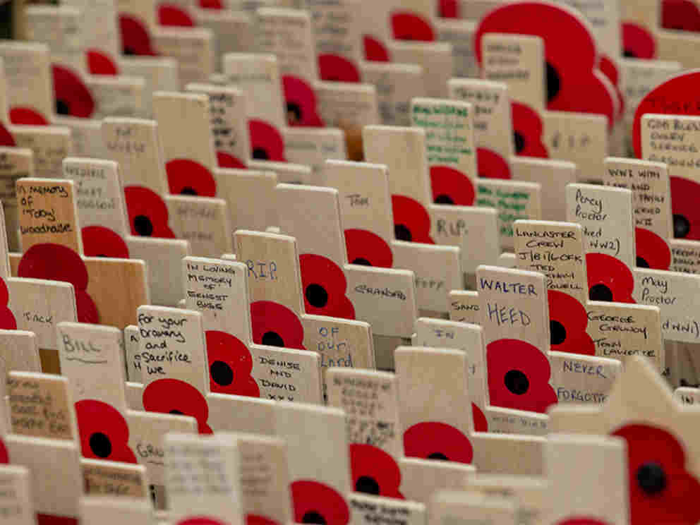 War dead honoured at the Field of Remembrance | Westminster Abbey