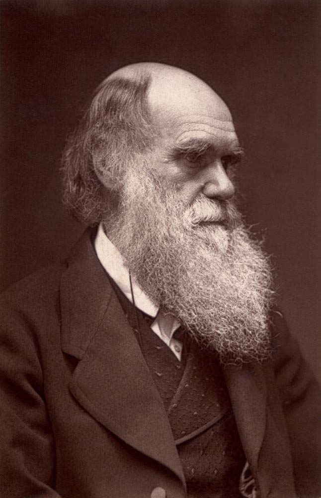 Charles Darwin | Westminster Abbey