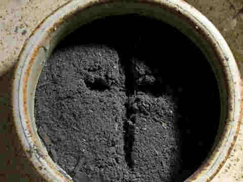 Ash Wednesday: Holy Communion | Westminster Abbey