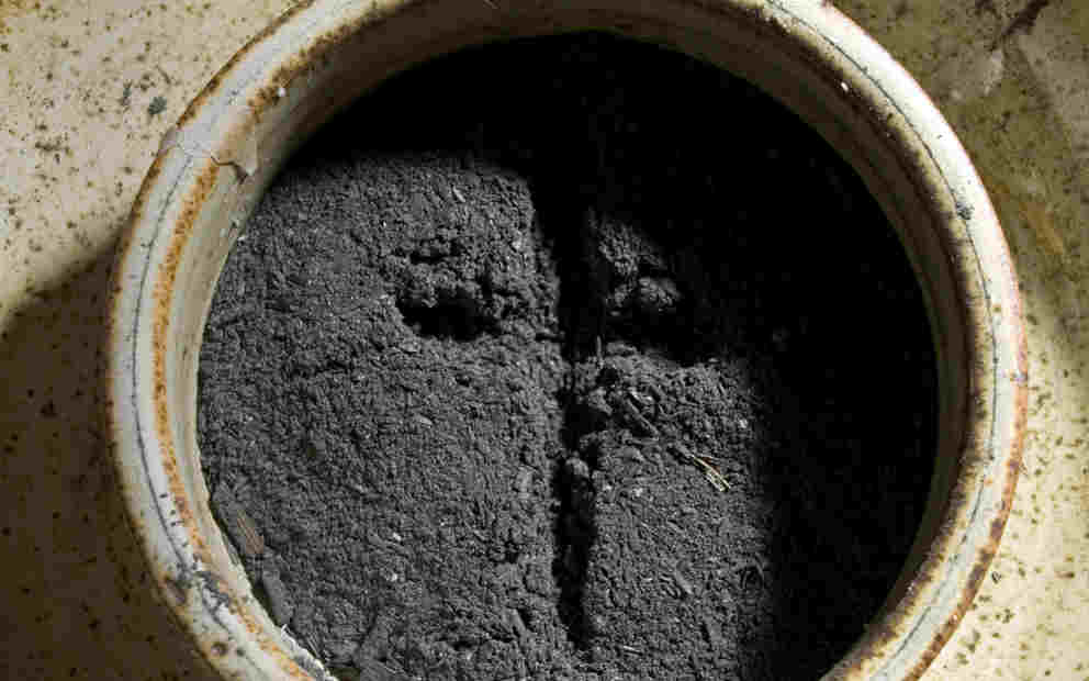 Ash Wednesday: Holy Communion | Westminster Abbey