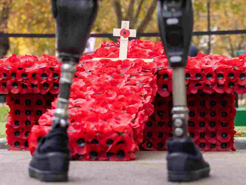 Her Majesty The Queen opens the 2025 Field of Remembrance | Westminster ...
