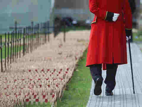 Field of Remembrance | Westminster Abbey