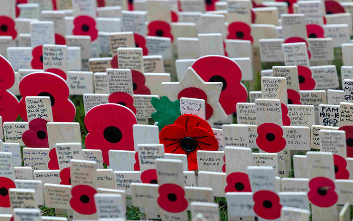 The Field of Remembrance | Westminster Abbey