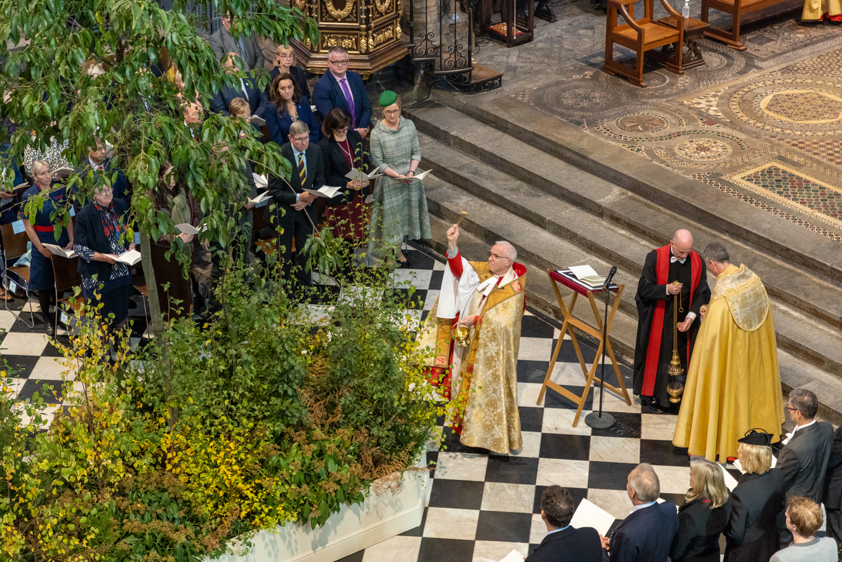 Trees of life service takes place at the Abbey | Westminster Abbey