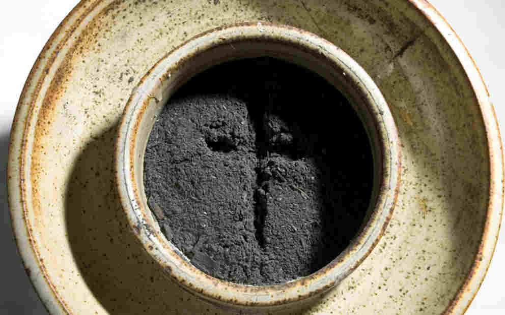 A podcast for Ash Wednesday | Westminster Abbey